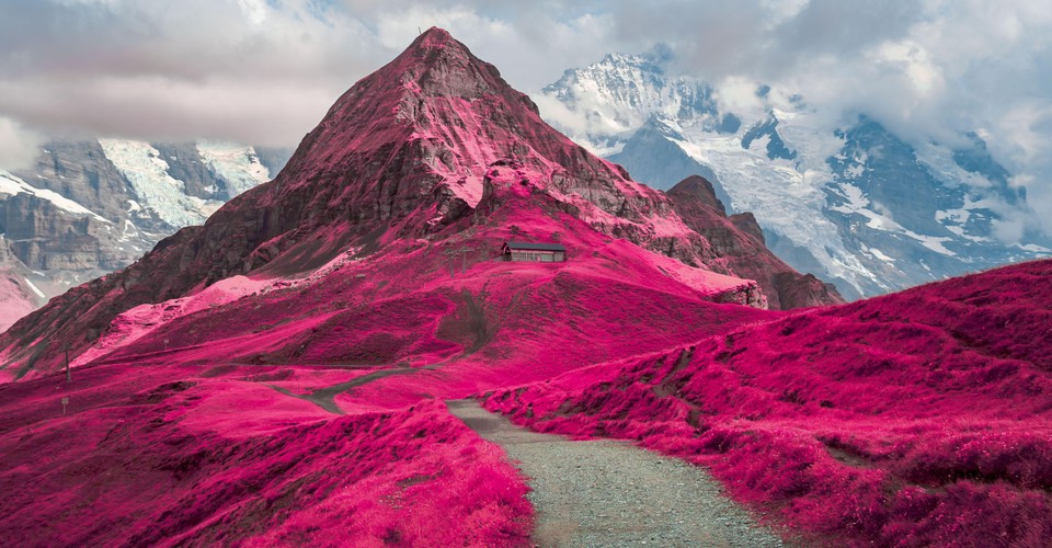 Capturing the Unseen: 2024 Infrared Photography Contest Winners Revealed