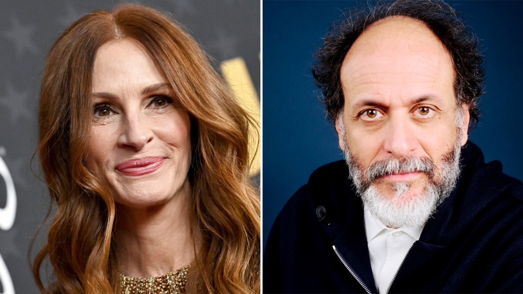 Anticipation Builds for Julia Roberts and Luca Guadagnino's 'After The ...