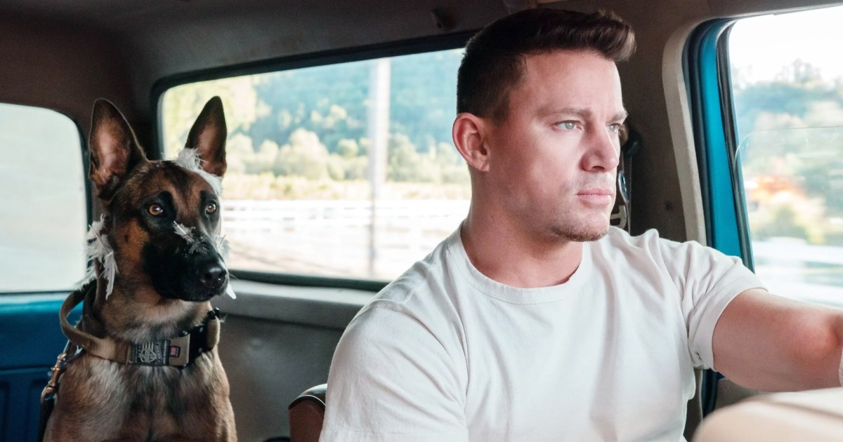 Discover Hidden Gems: 3 Must-See Amazon Prime Video Films This Weekend