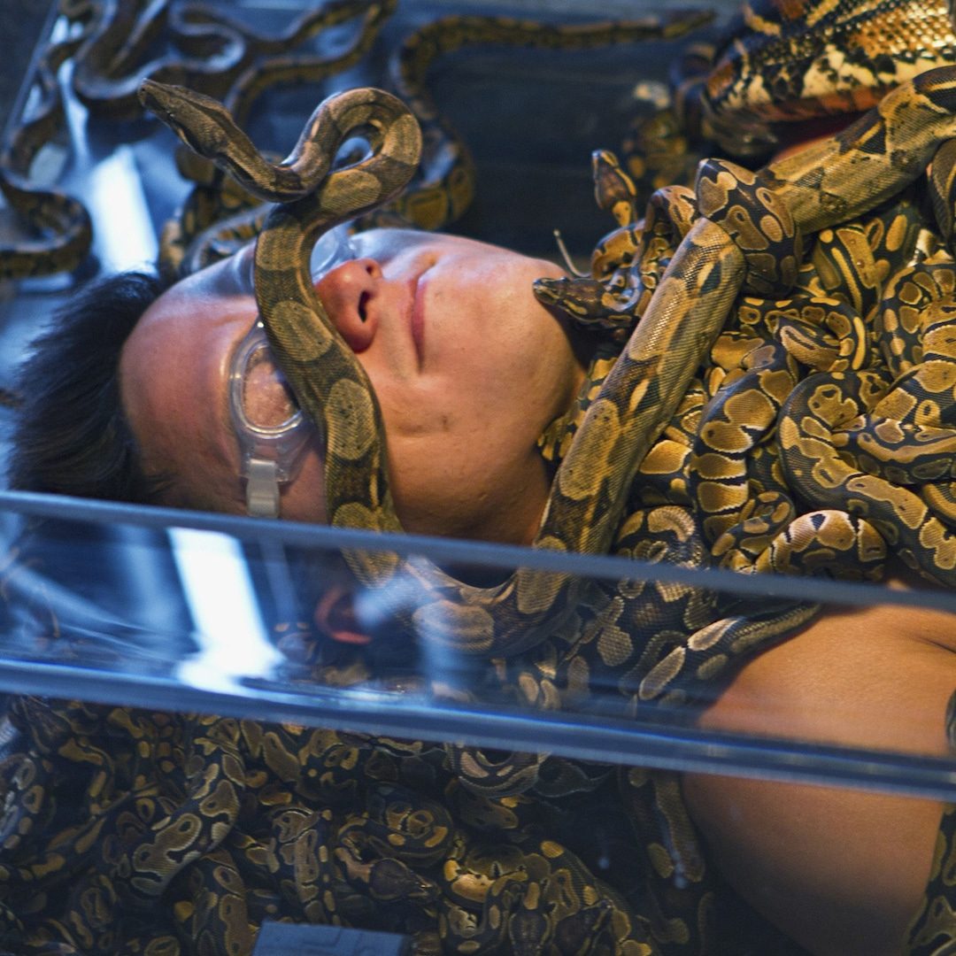 The Return of Fear Factor: What to Expect from Fox's Revived Classic