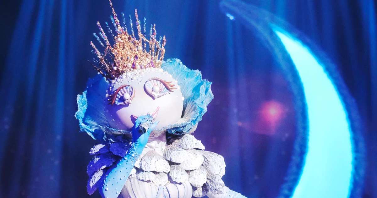 Unmasking the Champion: Country Star Takes the Crown in Season 13 of ...