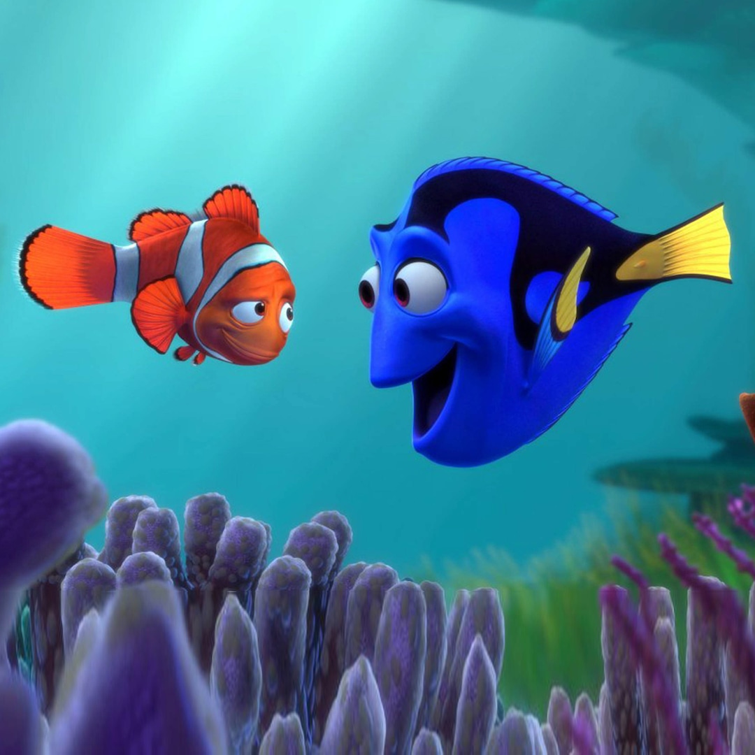 Hidden Gems from Finding Nemo You Can't Miss